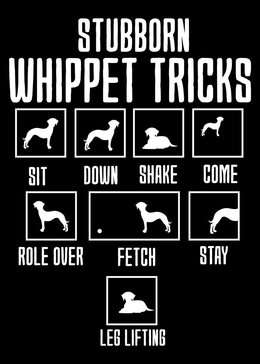 'Stubborn Whippet Tricks' Poster, picture, metal print, paint by Hexor | Displate