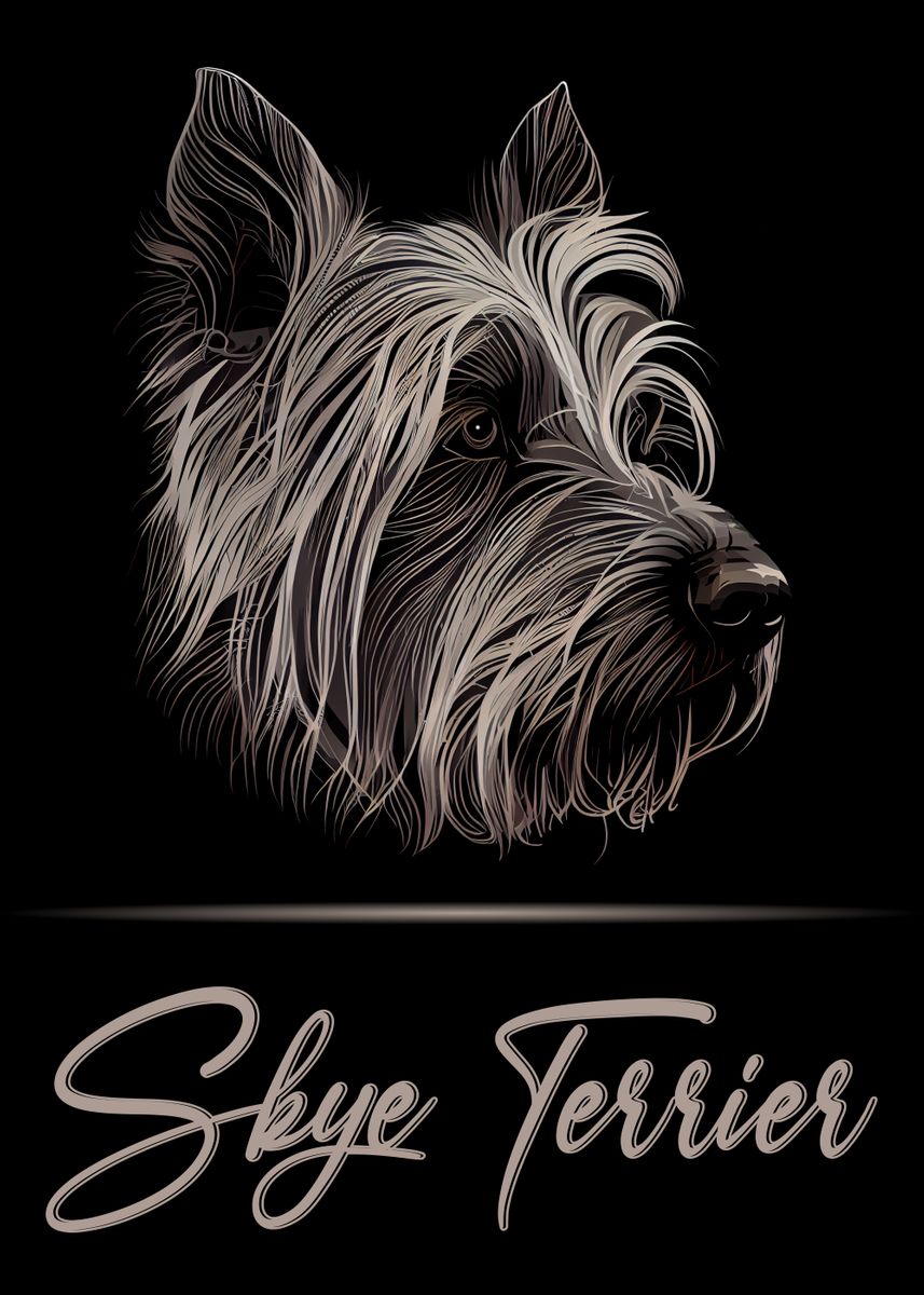 'Elegant Skye Terrier' Poster, picture, metal print, paint by Artistic Paradigms | Displate