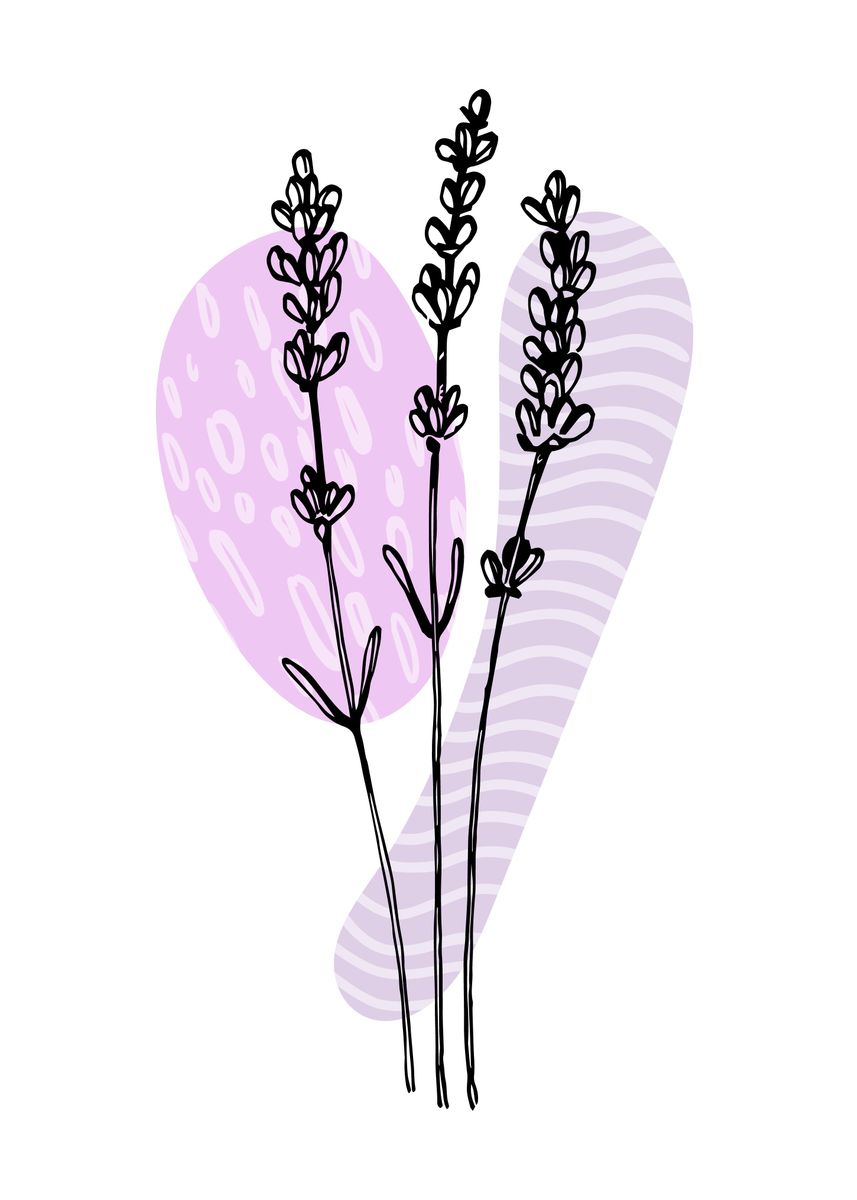 'Lavender' Poster, picture, metal print, paint by Samira Yanushkova ...