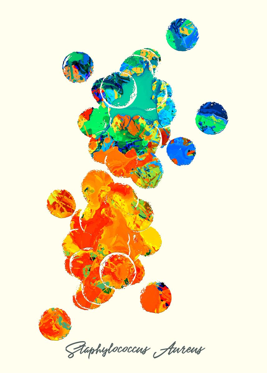 'Staphylococcus Aureus' Poster, picture, metal print, paint by Vincent ...