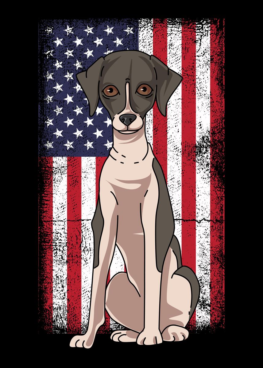 'Whippet USA Flag' Poster, picture, metal print, paint by Hexor | Displate