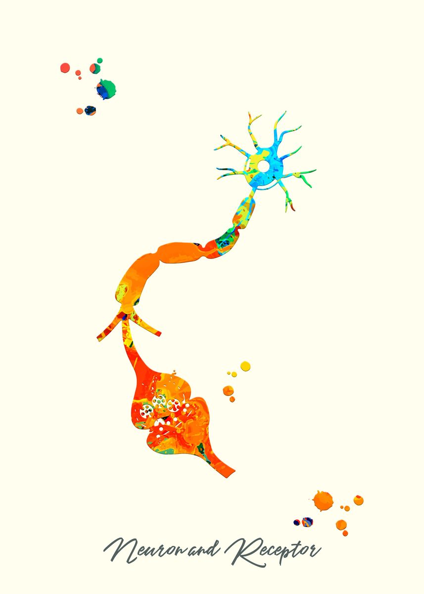 'Neuron and Receptor' Poster, picture, metal print, paint by Vincent ...