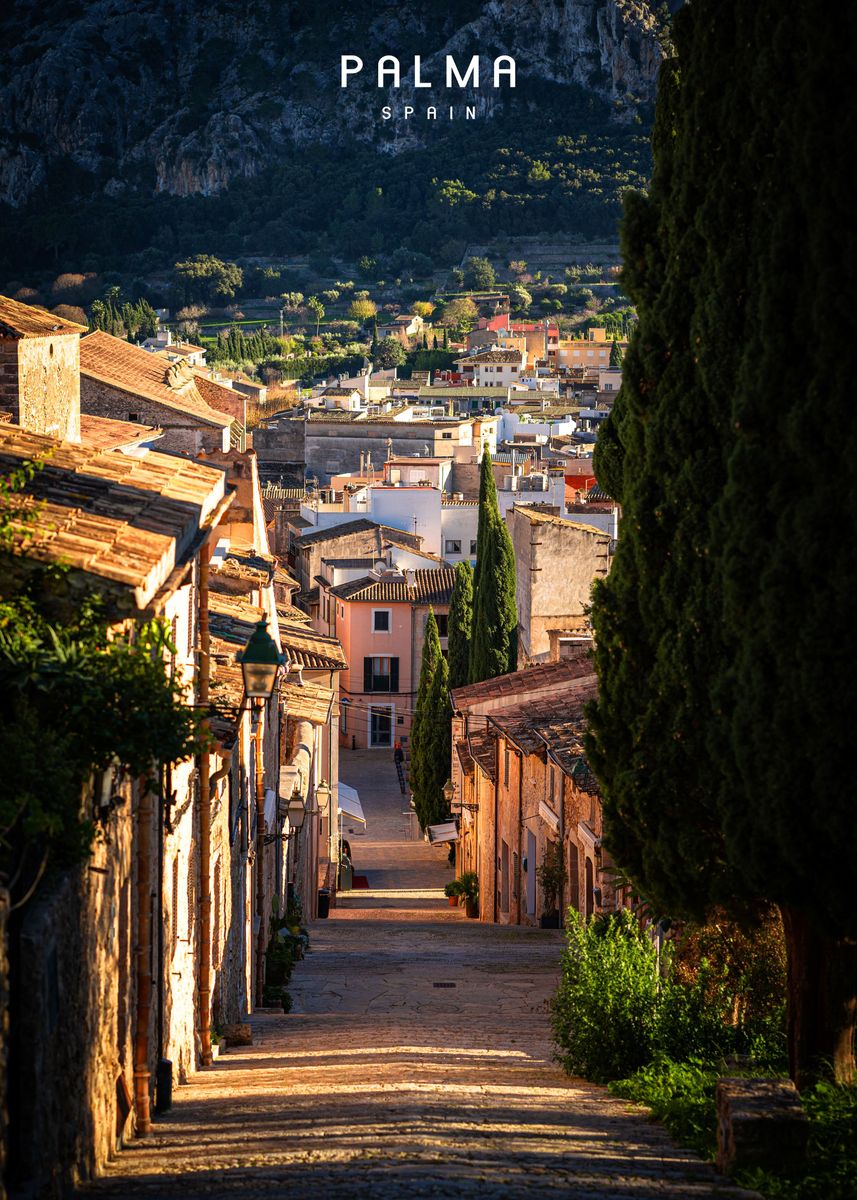 'Palma ' Poster, picture, metal print, paint by Big City | Displate