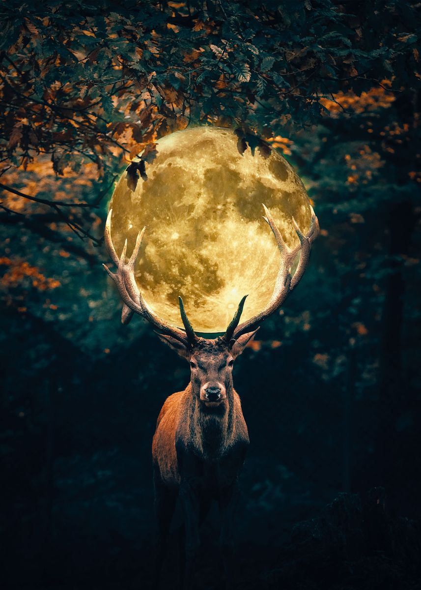 'Moon on Deers Antler Night' Poster, picture, metal print, paint by ...