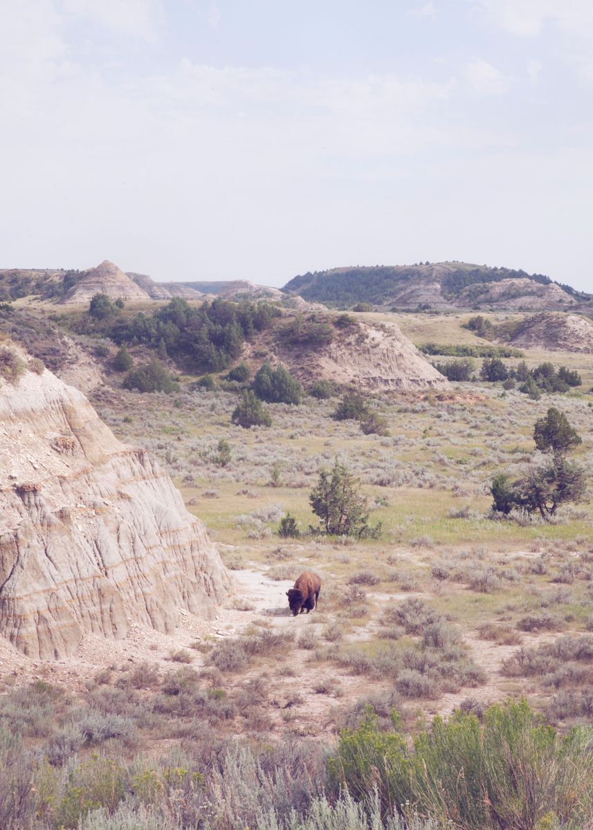 'Dakota Badlands' Poster, picture, metal print, paint by Catherine ...