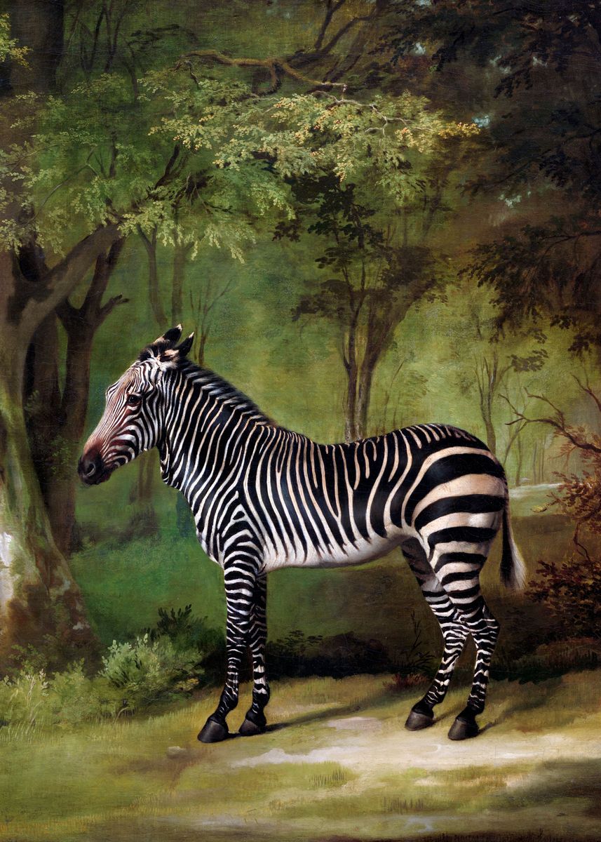 'Zebra in the Forest Animal' Poster, picture, metal print, paint by ...