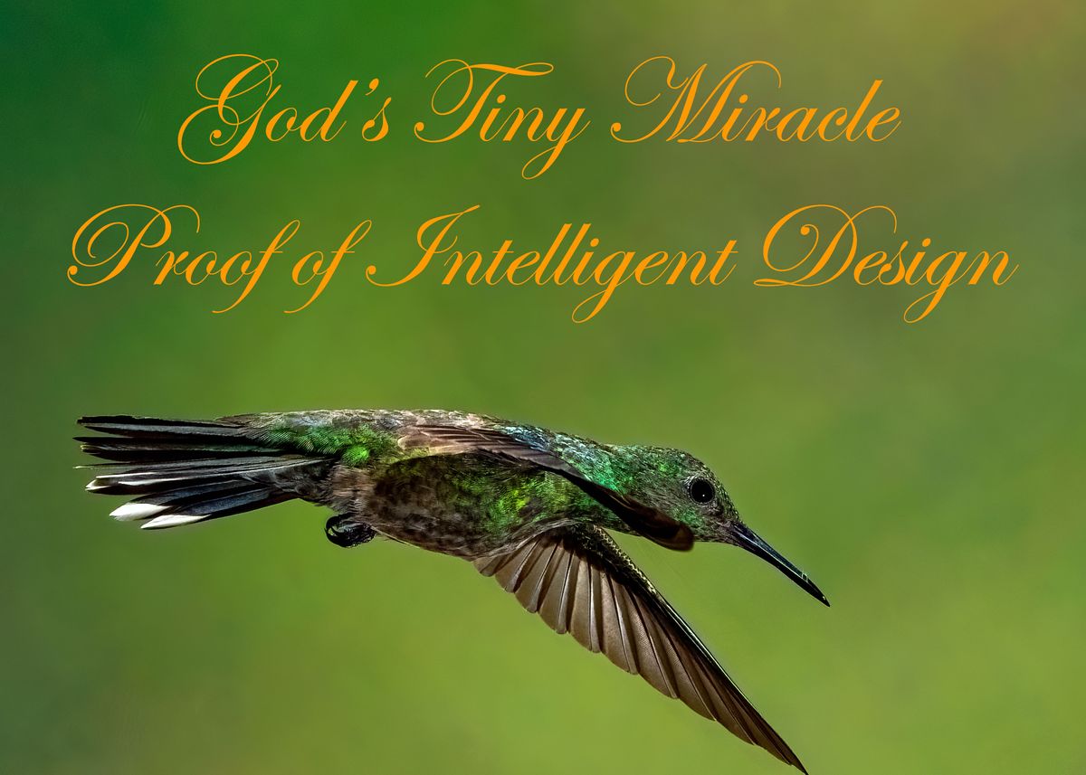 'Gods Tiny Miracle' Poster by Joe OConnell | Displate