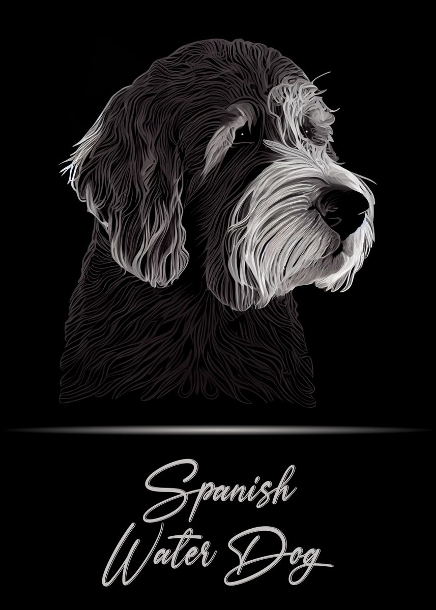 'Spanish Water Dog' Poster, picture, metal print, paint by Artistic ...