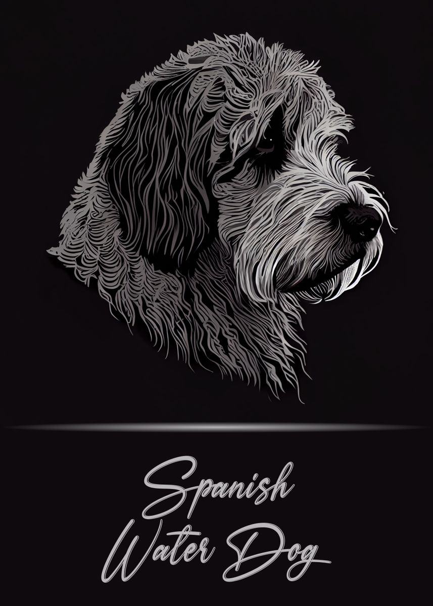 'Adorable Spanish Water Dog' Poster by Artistic Paradigms | Displate