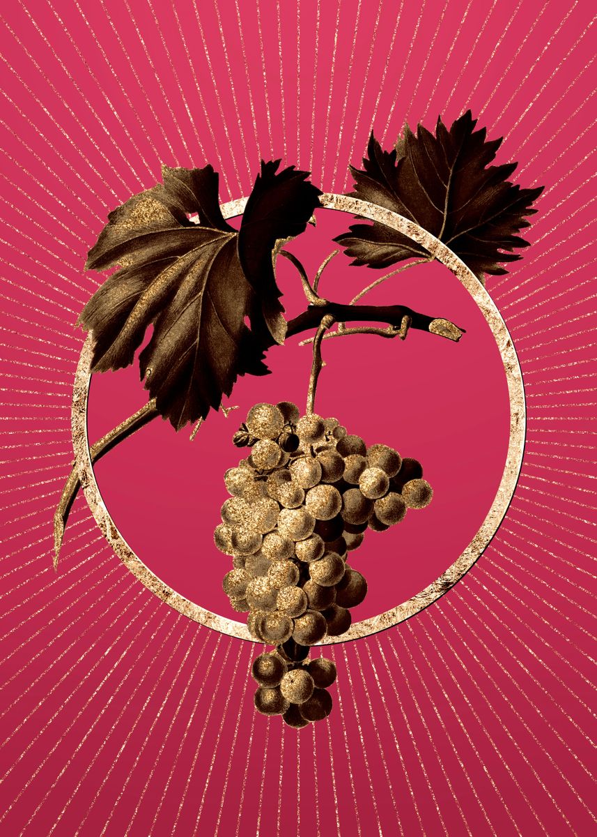 'Grape Vine on Viva Magenta' Poster, picture, metal print, paint by ...