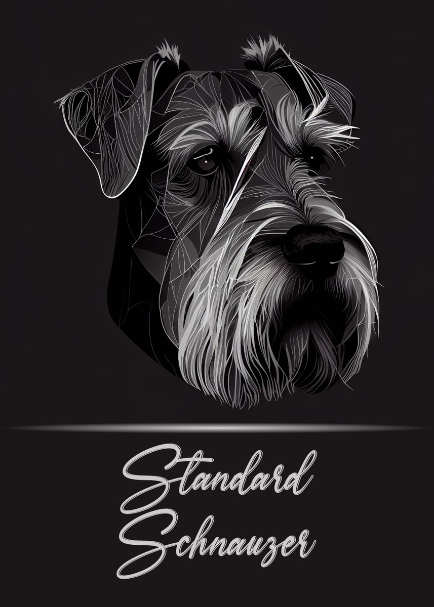 'Standard Schnauzer' Poster, picture, metal print, paint by Artistic Paradigms | Displate