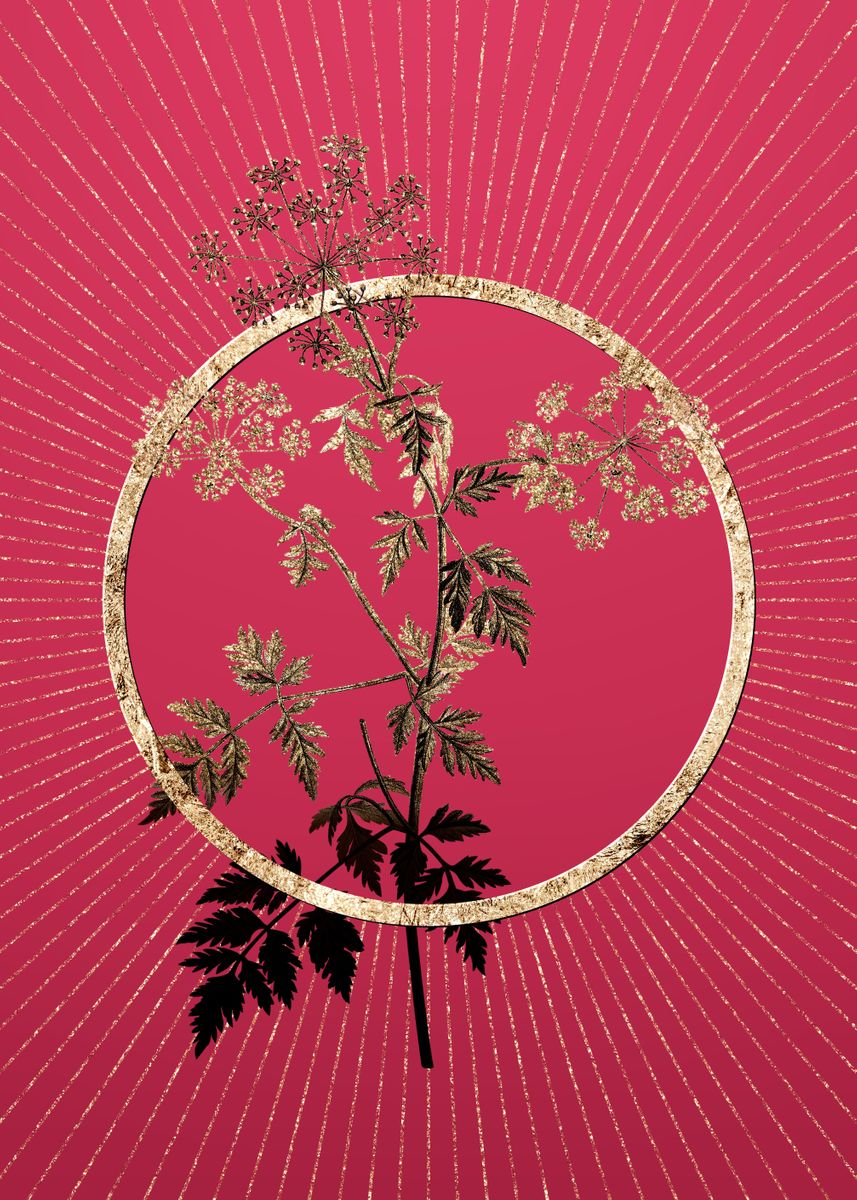 'Hemlock Flowers on Magenta' Poster, picture, metal print, paint by ...