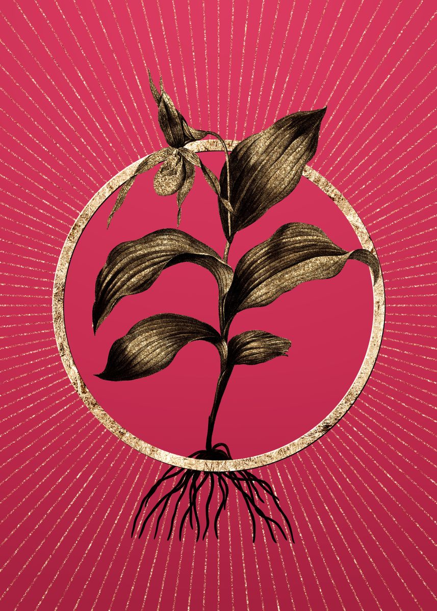 'Gold Ladys Slipper Orchid' Poster by Holy Rock Design | Displate
