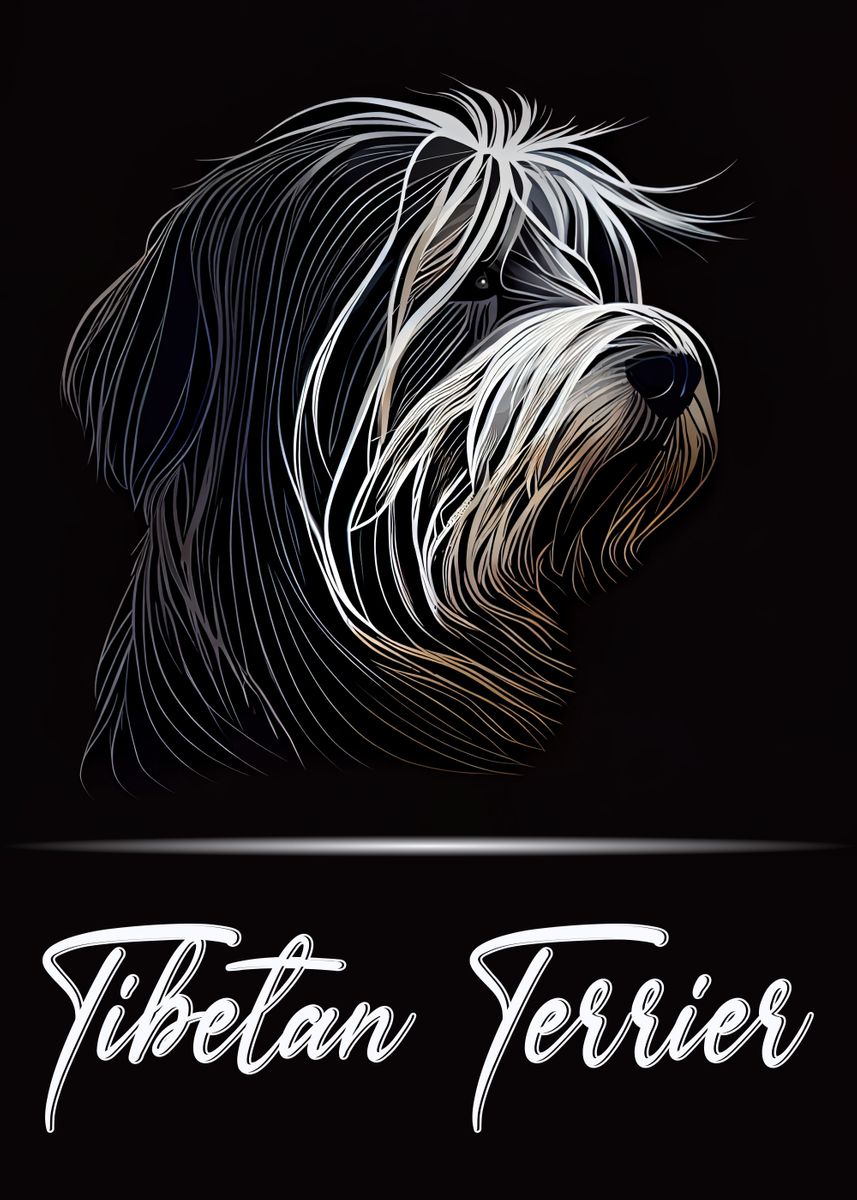 'Elegant Tibetan Terrier' Poster, picture, metal print, paint by Artistic Paradigms | Displate