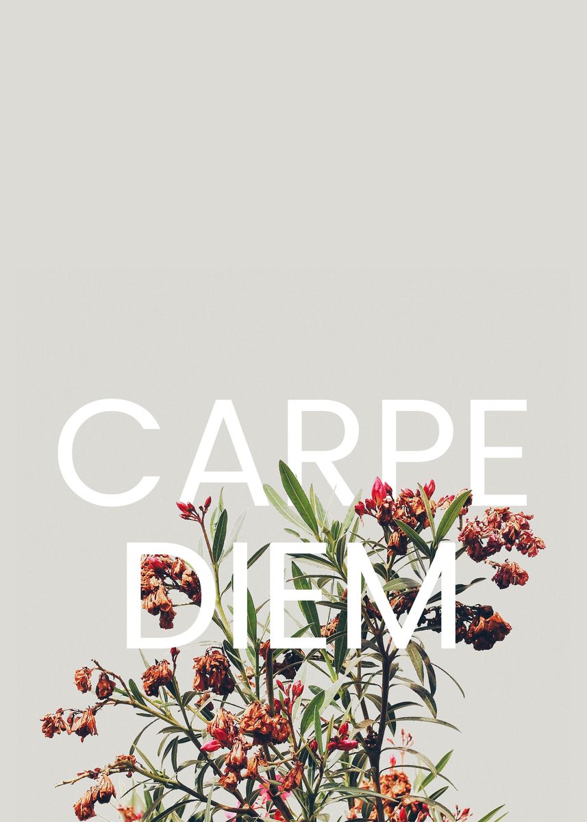 'Carpe Diem' Poster, picture, metal print, paint by 83 Oranges by Uma ...