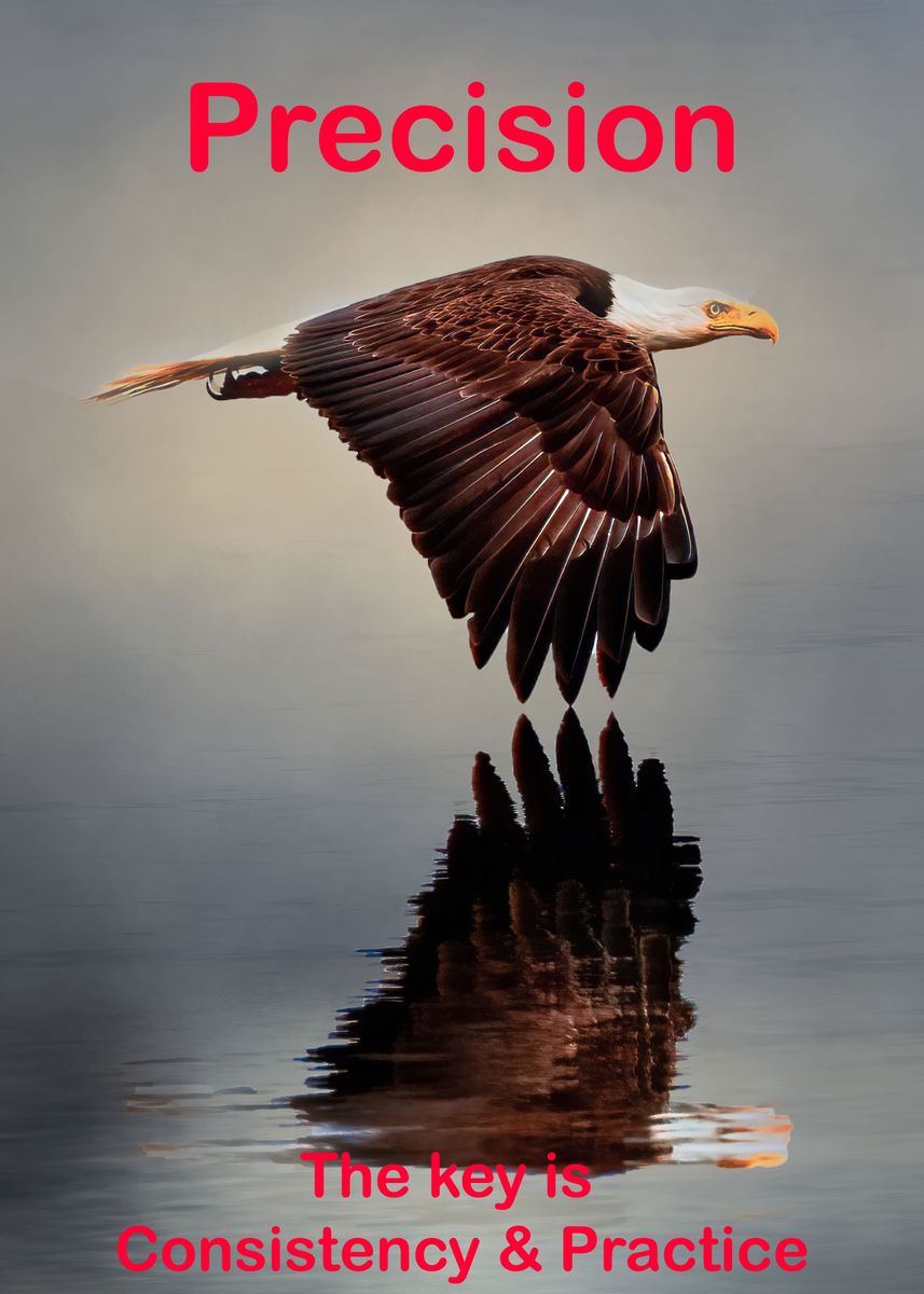 'Precision' Poster, picture, metal print, paint by Joe OConnell | Displate