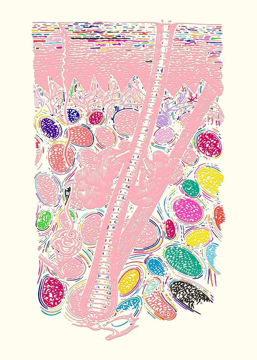 'Skin Anatomy' Poster, picture, metal print, paint by Dutton Jerrell | Displate