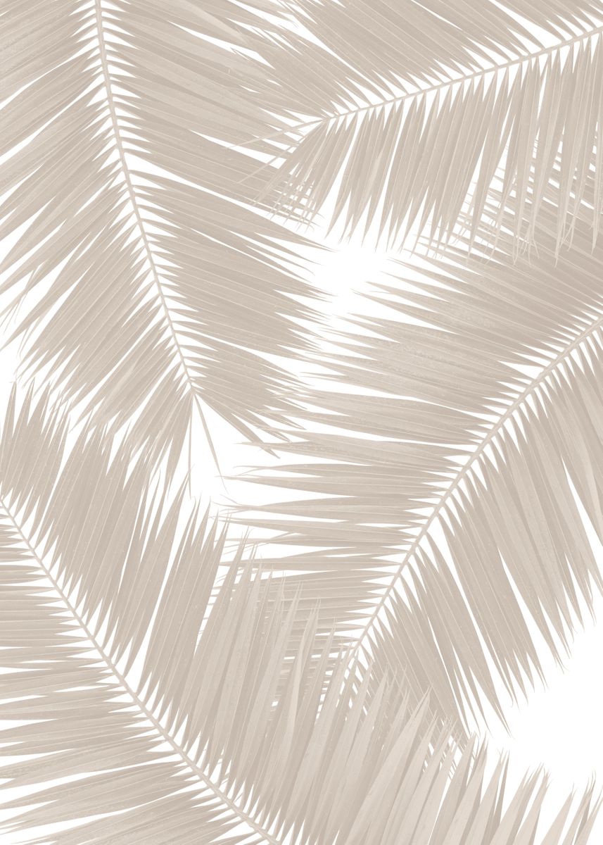 'Soft Beige Palm Leaves 1 ' Poster, picture, metal print, paint by ...
