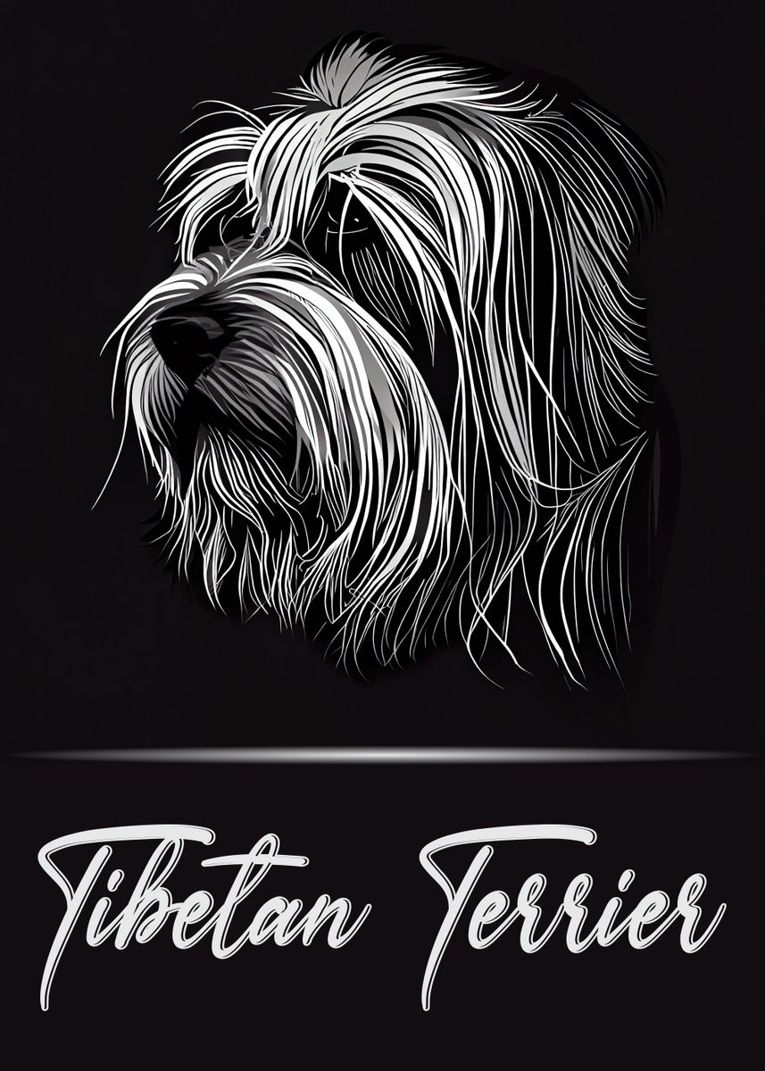 'Adorable Tibetan Terrier' Poster, picture, metal print, paint by Artistic Paradigms | Displate