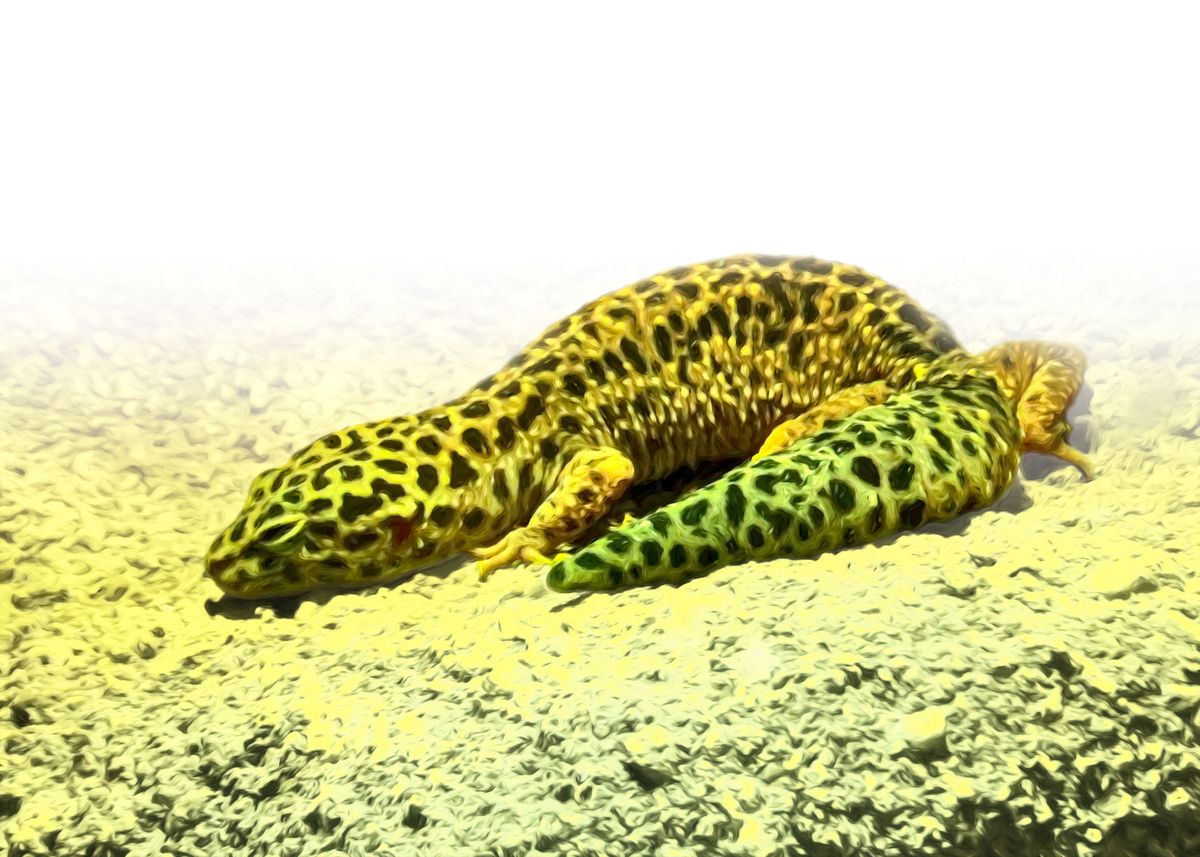 'Leopard gecko' Poster by Gyula Gvardián | Displate
