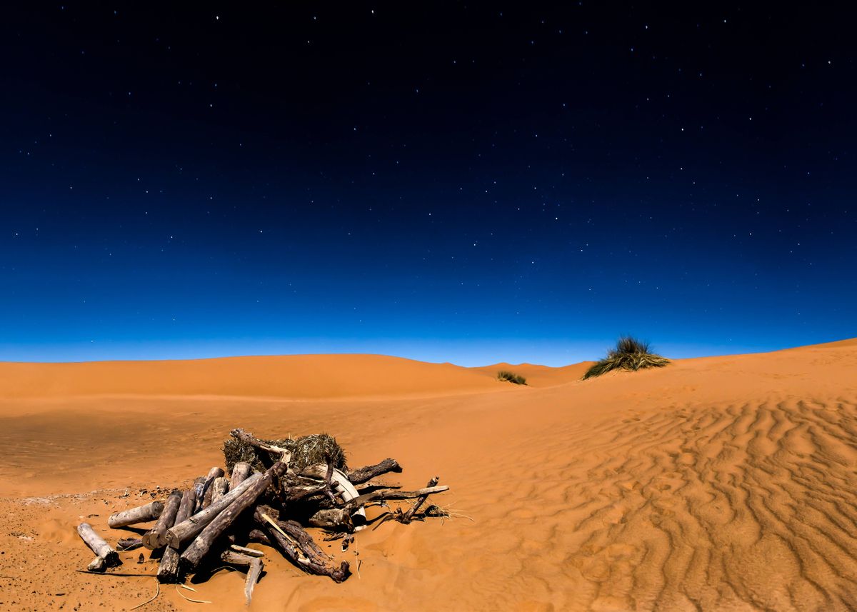 'night in sahara' Poster by Andi klaw | Displate