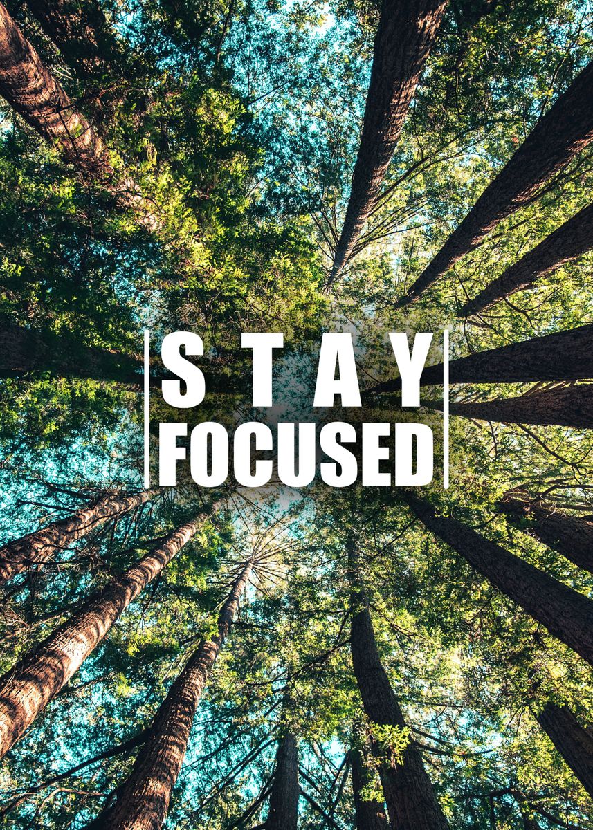 'Stay Focused' Poster, picture, metal print, paint by Robert Design ...