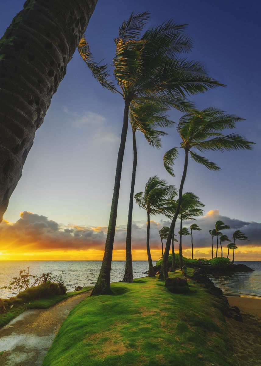 'Line Em Up' Poster, picture, metal print, paint by justindkphoto ...