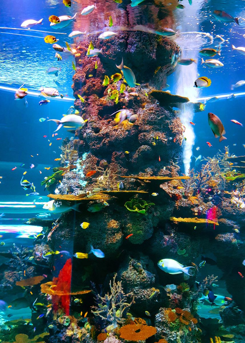 'LIFE OF MARINE BIOTA' Poster, picture, metal print, paint by LuckStory ...