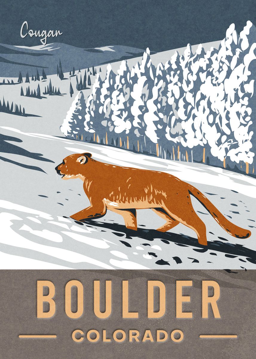 'Boulder Cougar' Poster, picture, metal print, paint by Jordan Holmes ...