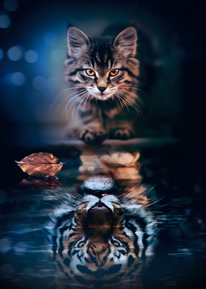 'Cat And Tiger Mirror' Poster, picture, metal print, paint by Korban Rindu | Displate