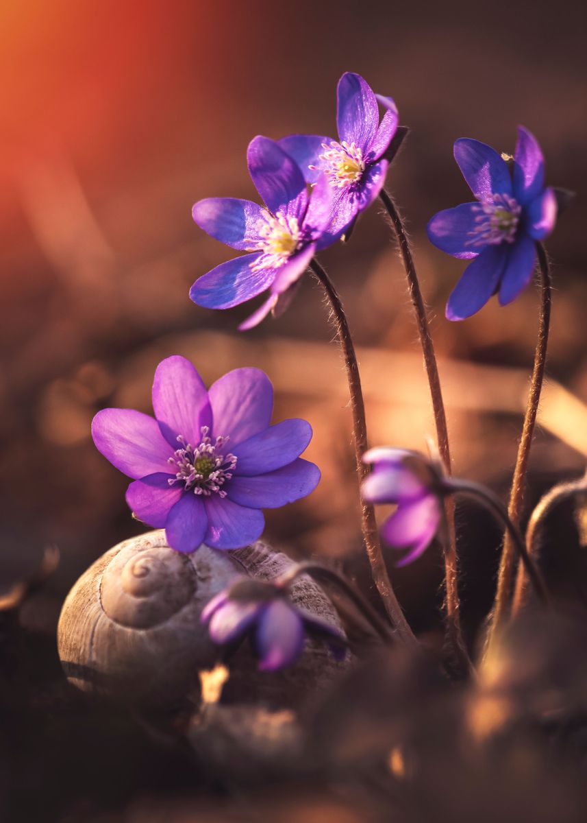 'Spring flowers' Poster, picture, metal print, paint by Mycatherina ...