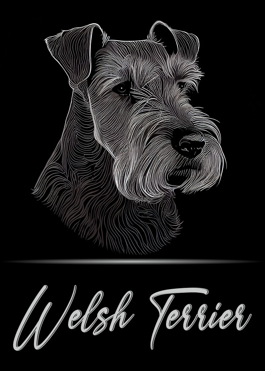 'Welsh Terrier' Poster, picture, metal print, paint by Artistic Paradigms | Displate