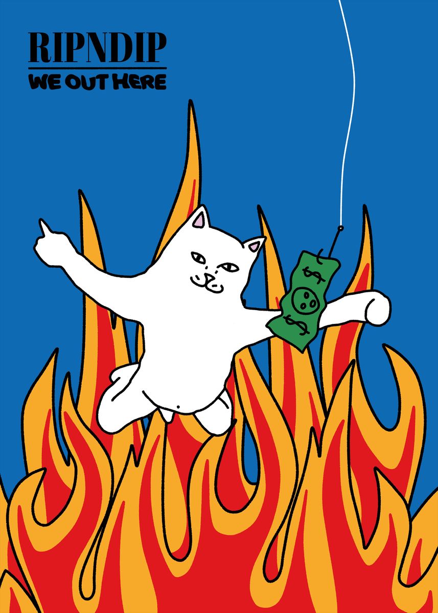 'hypecat fire ' Poster, picture, metal print, paint by Erico plok ...