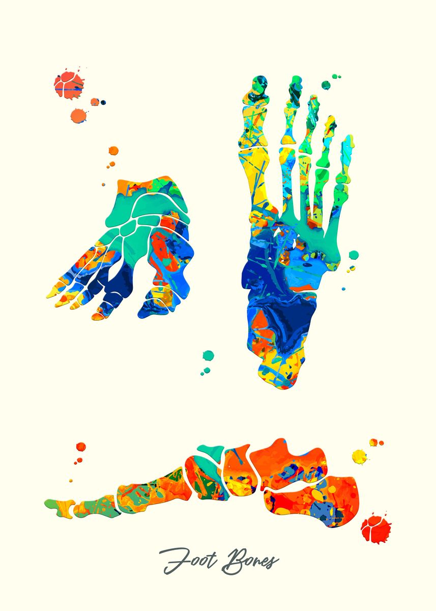 'Foot Bones' Poster by Vincent Vorce | Displate