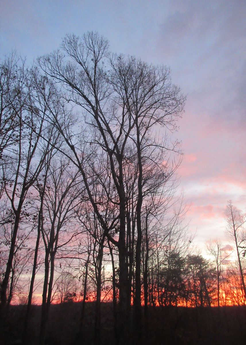 'Georgia Country Sunset' Poster, picture, metal print, paint by Rosie ...