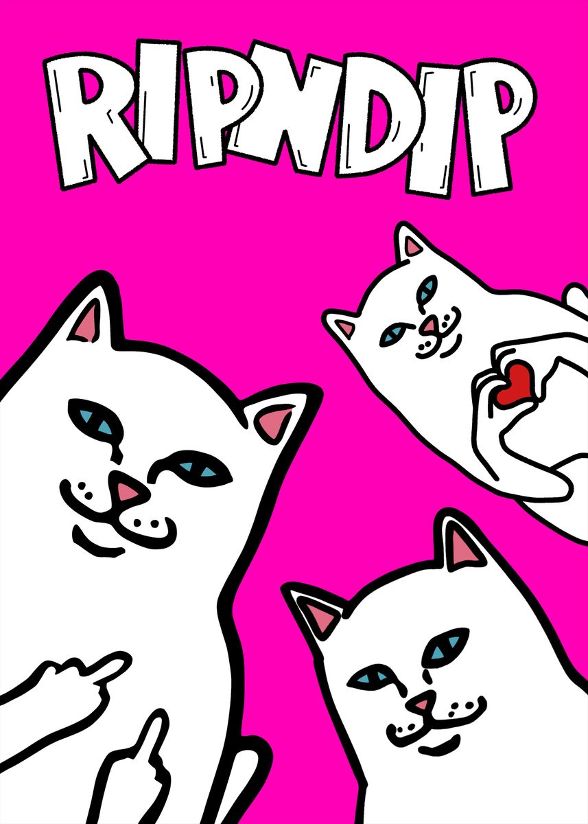 'hypecat' Poster, picture, metal print, paint by Erico plok | Displate