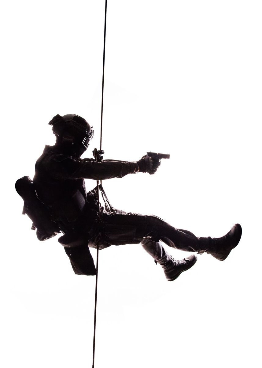 'Rappeller' Poster, picture, metal print, paint by Getmilitaryphotos ...