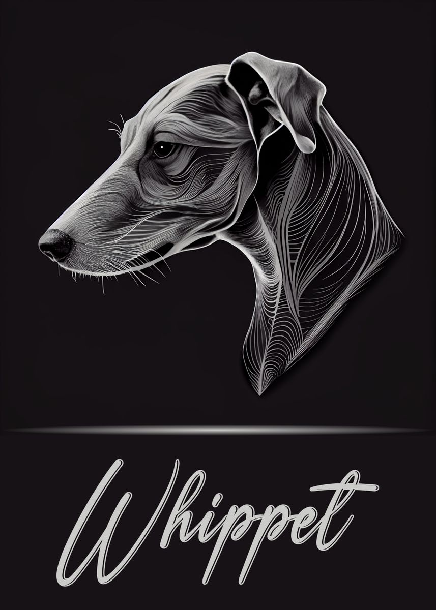 'Whippet' Poster, picture, metal print, paint by Artistic Paradigms ...