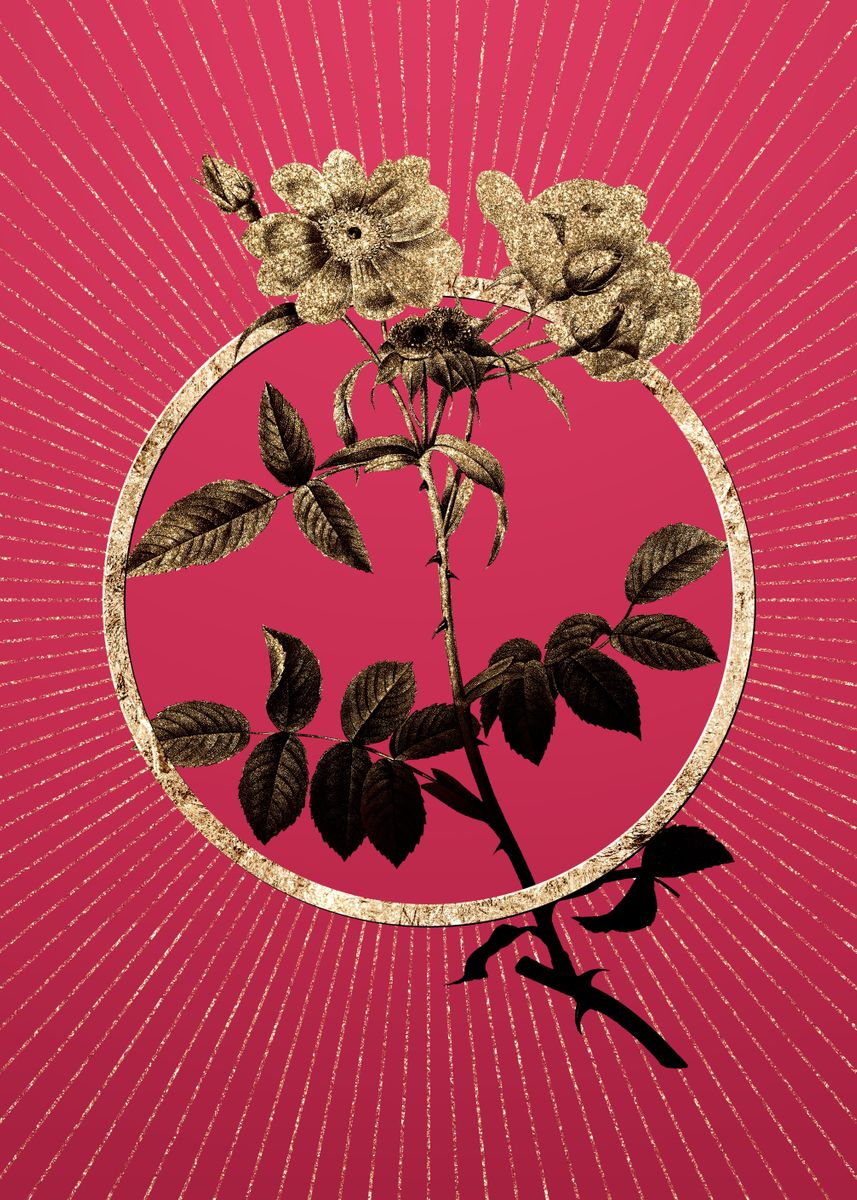 'Lady Monson Rose Bloom' Poster, picture, metal print, paint by Holy ...