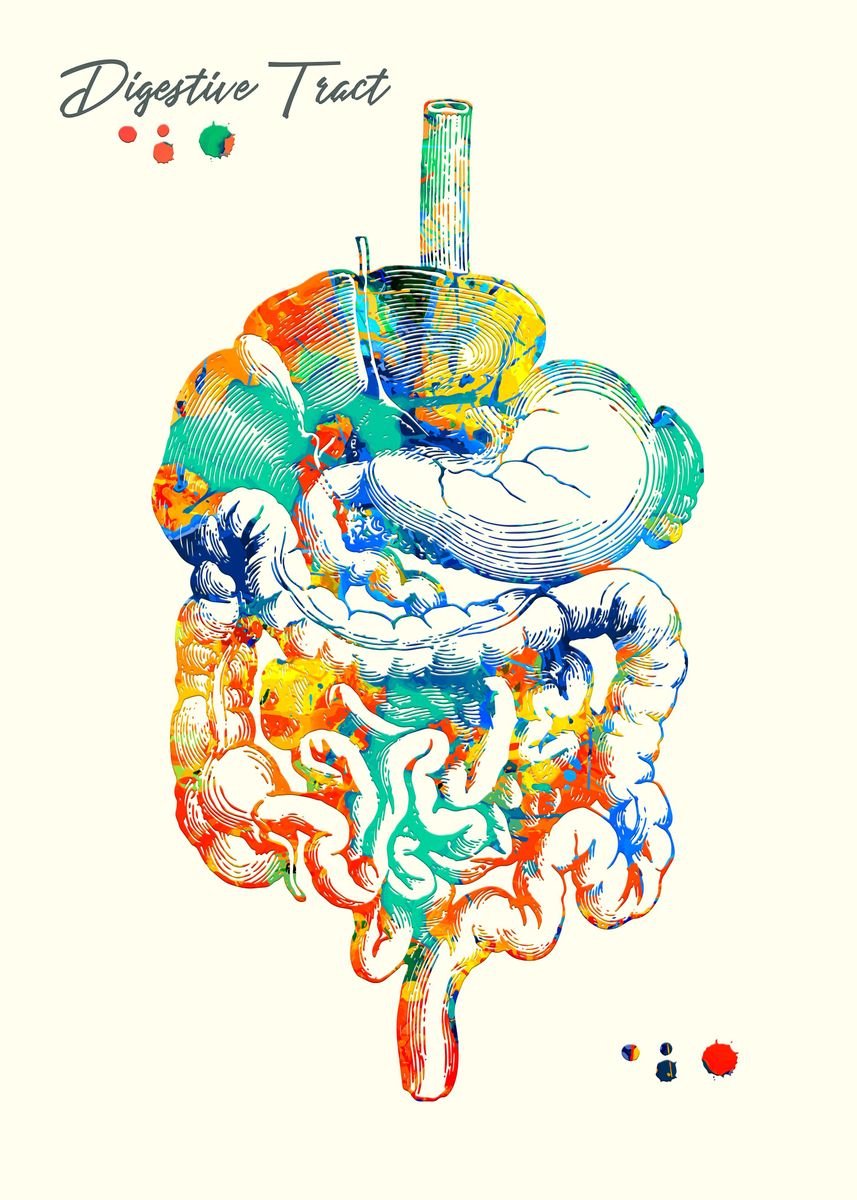 'Digestive tract' Poster, picture, metal print, paint by Vincent Vorce ...