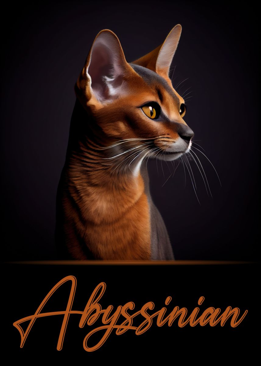 'Elegant Abyssinian' Poster, picture, metal print, paint by Artistic ...