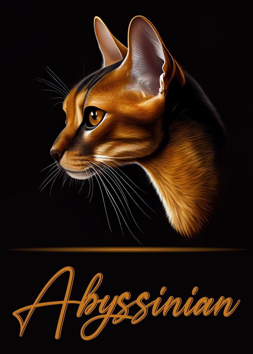'Abyssinian Portrait' Poster, picture, metal print, paint by Artistic ...