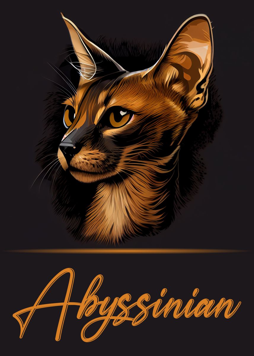 'Abyssinian' Poster, picture, metal print, paint by Artistic Paradigms ...