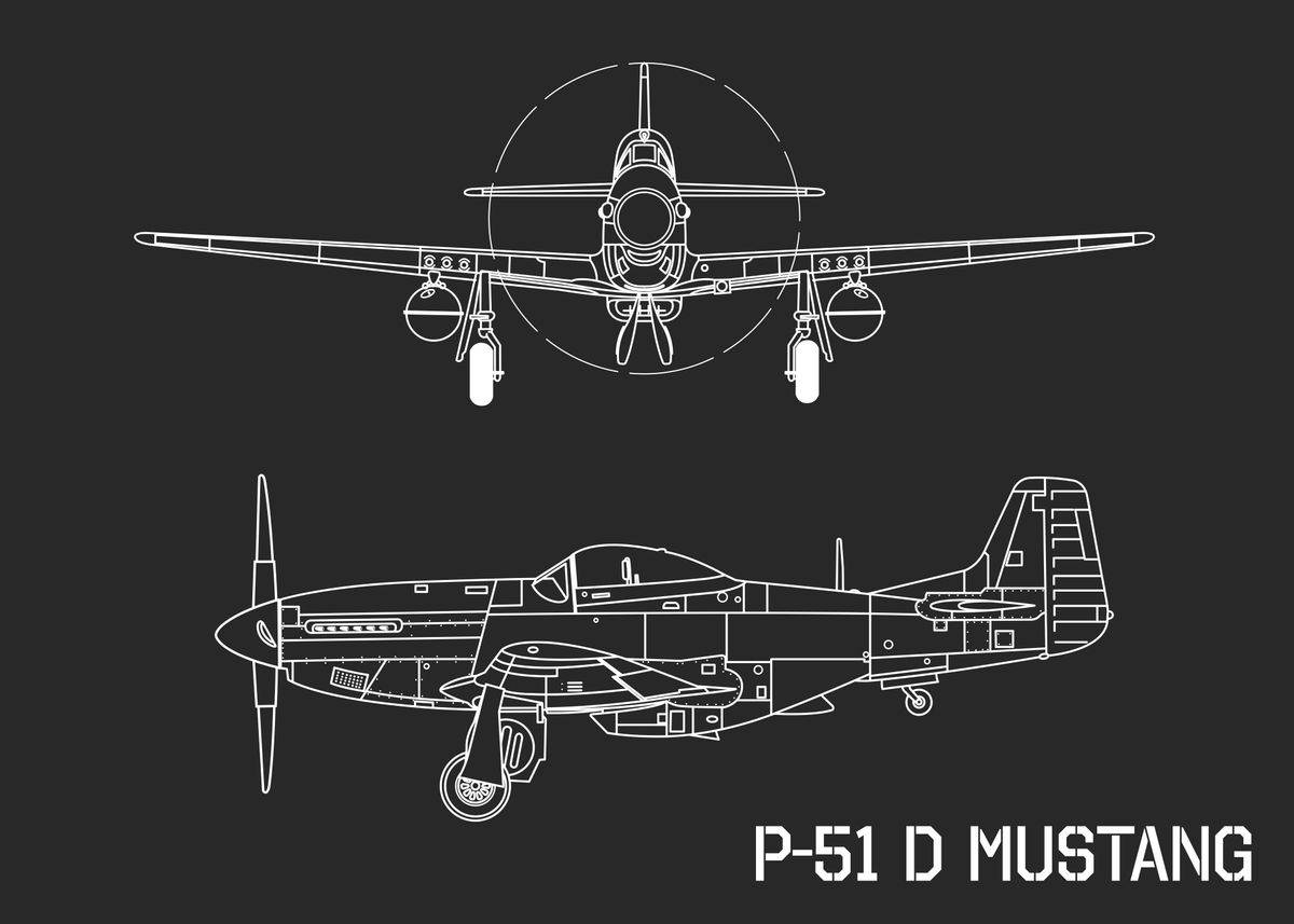 'P 51 Mustang WW2 Warbird' Poster by CHE Aviation | Displate