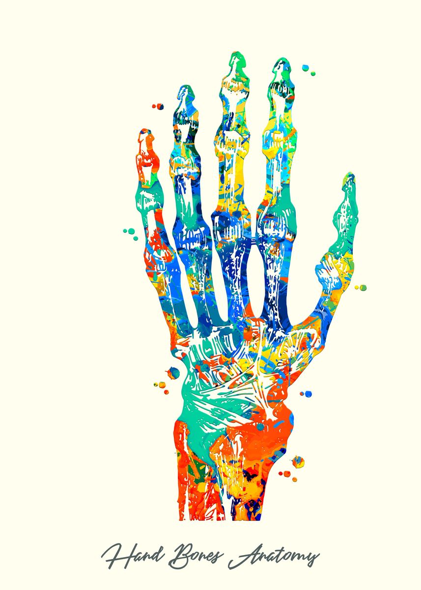 'Hand Bones Anatomy' Poster, picture, metal print, paint by Vincent ...