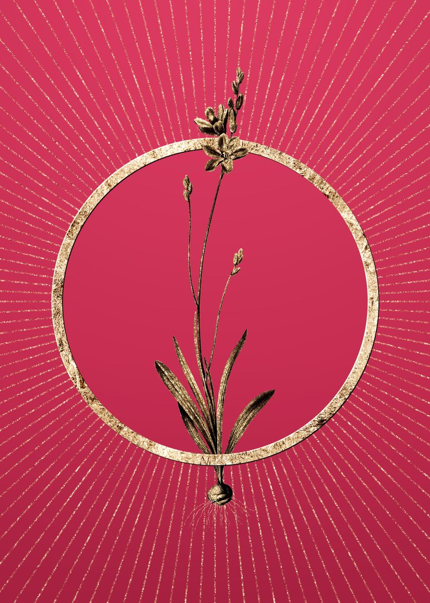 'Gold Mossel Bay Tritonia' Poster, picture, metal print, paint by Holy ...