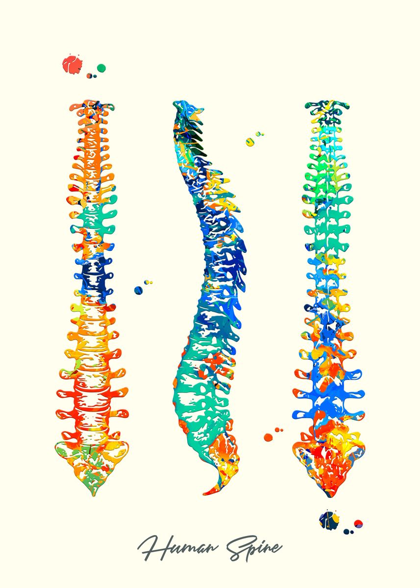 'Human Spine' Poster, picture, metal print, paint by Vincent Vorce ...