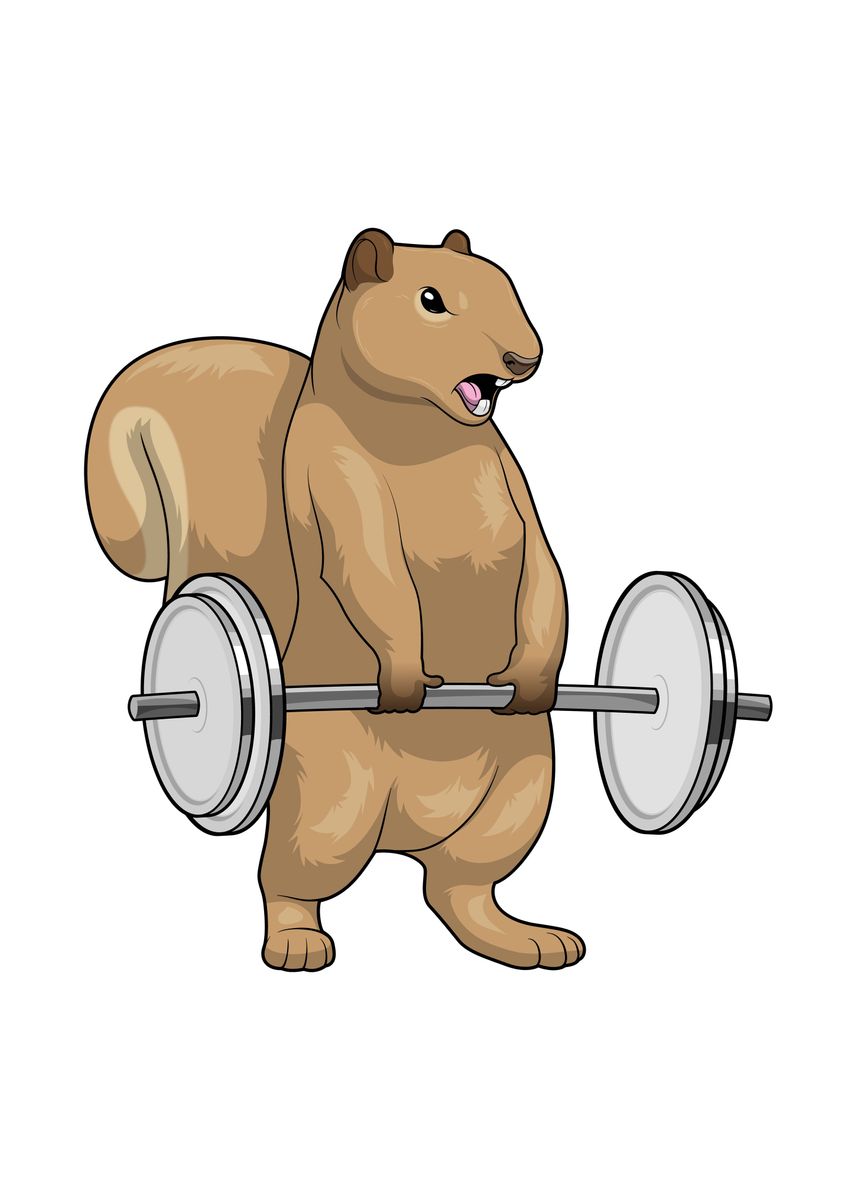 'Squirrel Bodybuilding' Poster, picture, metal print, paint by Markus ...