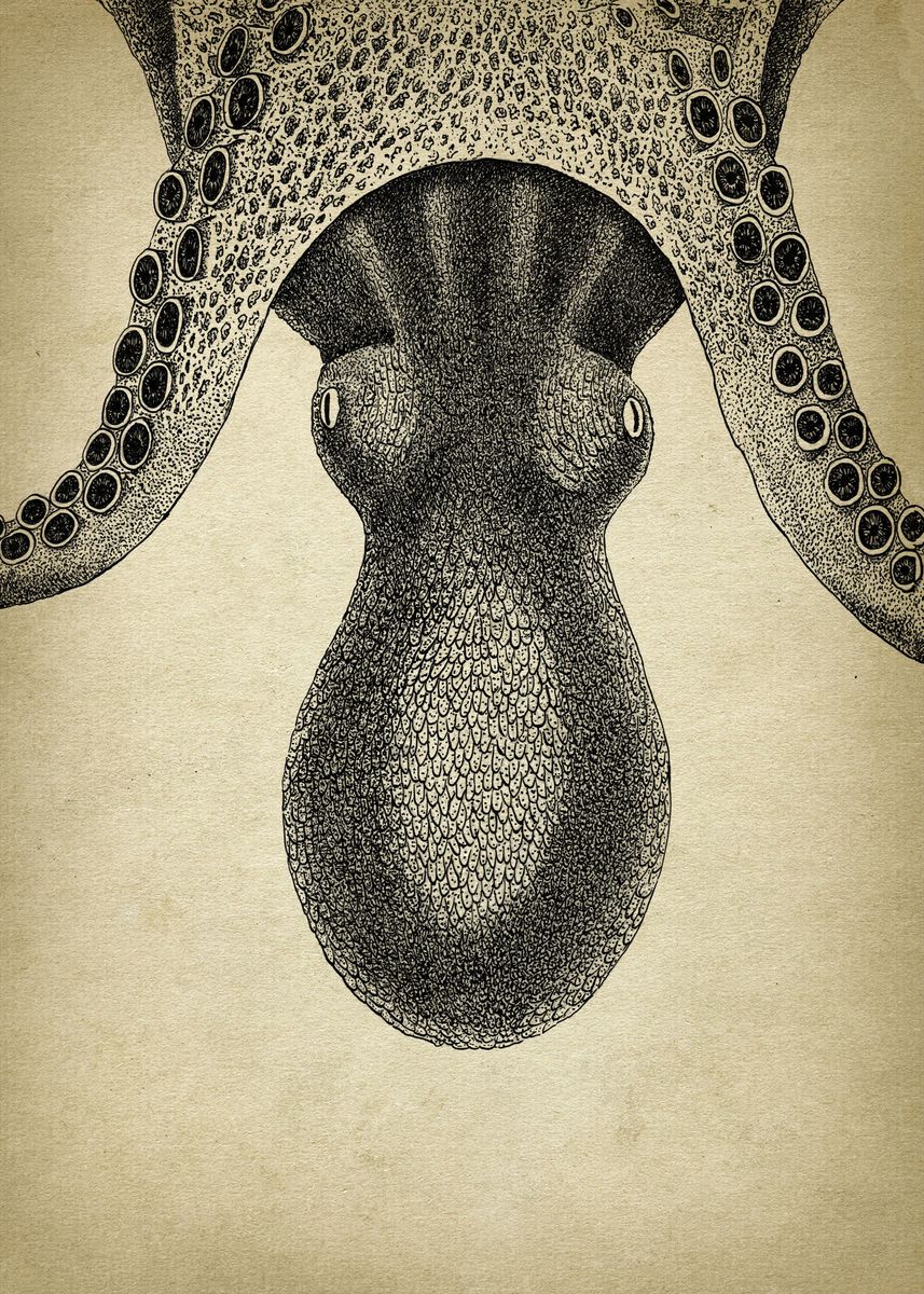 'Octopus head piece 5' Poster, picture, metal print, paint by ...