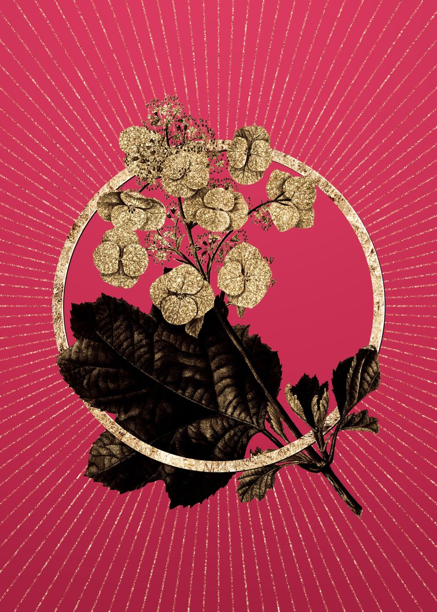 'Gold Oakleaf Hydrangea' Poster, picture, metal print, paint by Holy ...